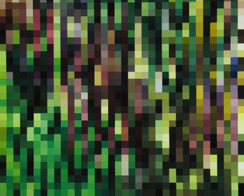 Pixelization | Igor Marsenic